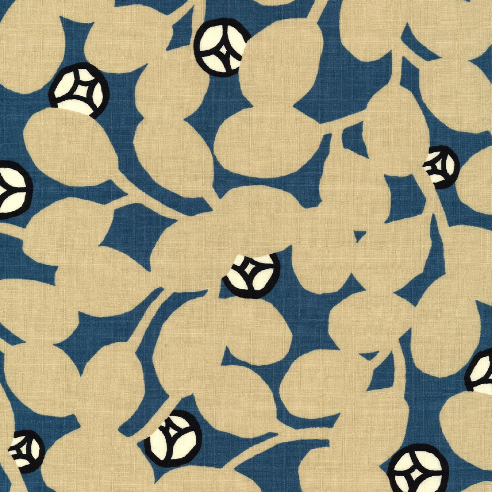 up5943 | コットンこばやし