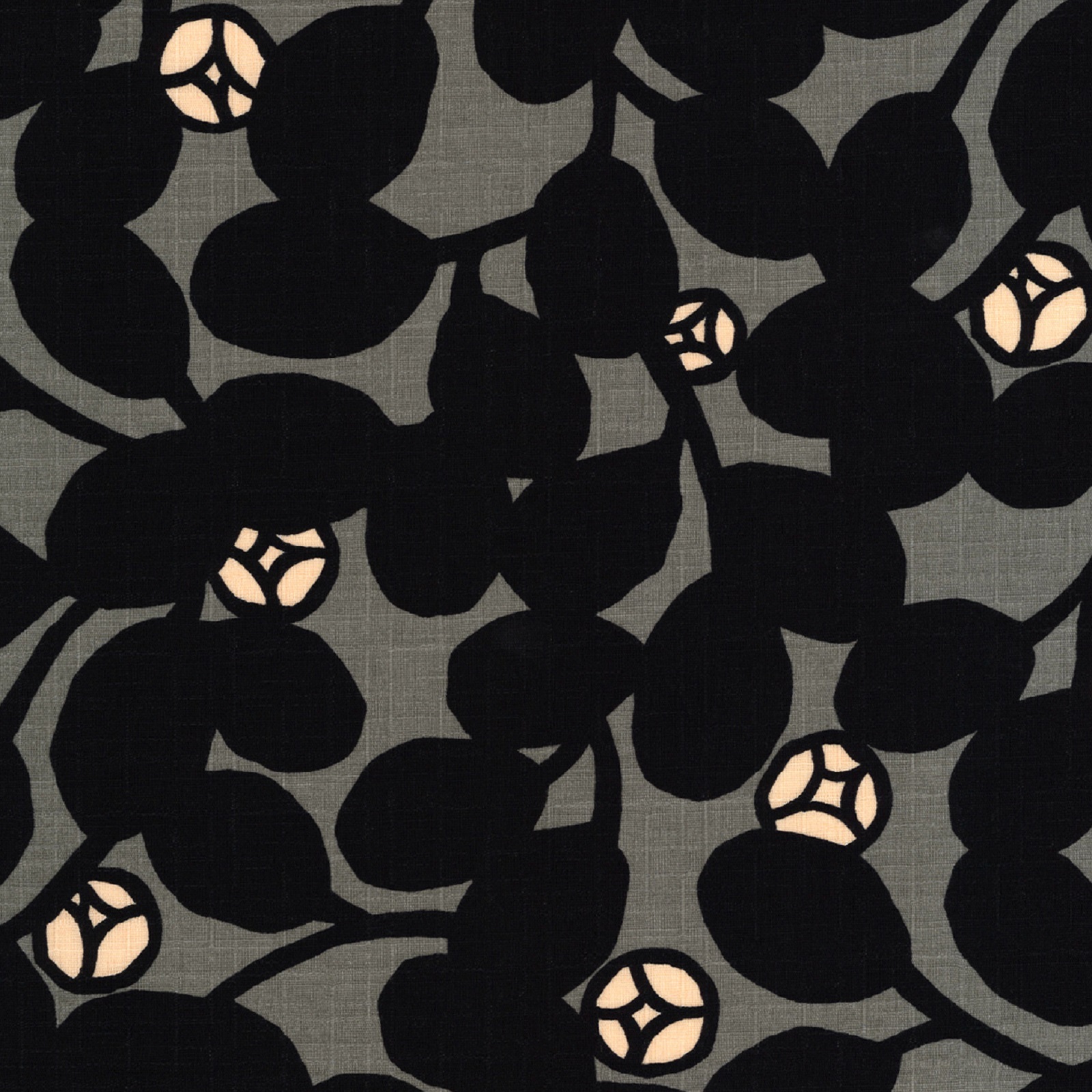 up5943 | コットンこばやし